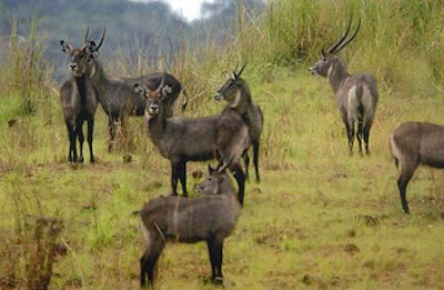 El General Conquistador's Blog: Gabon, Provinces