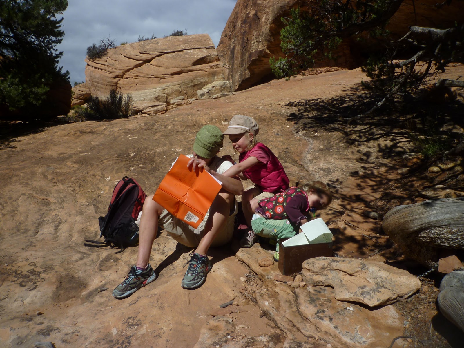 Wildflower Telluride: Canyon Cookies: Exploring Comb Wash, Utah with ...