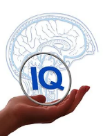 what is an iq level?, intelligence quotient, How iq is tested?, Top 10 ...