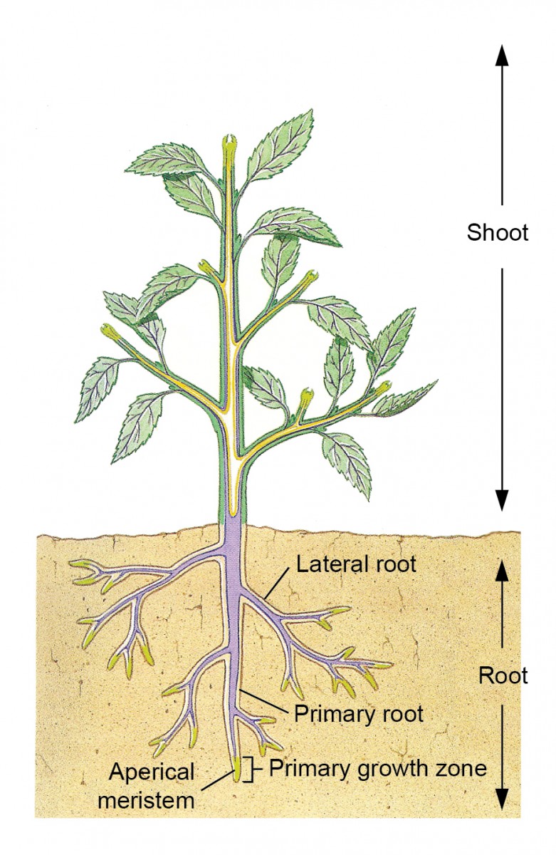 Forever Becoming: February 2012