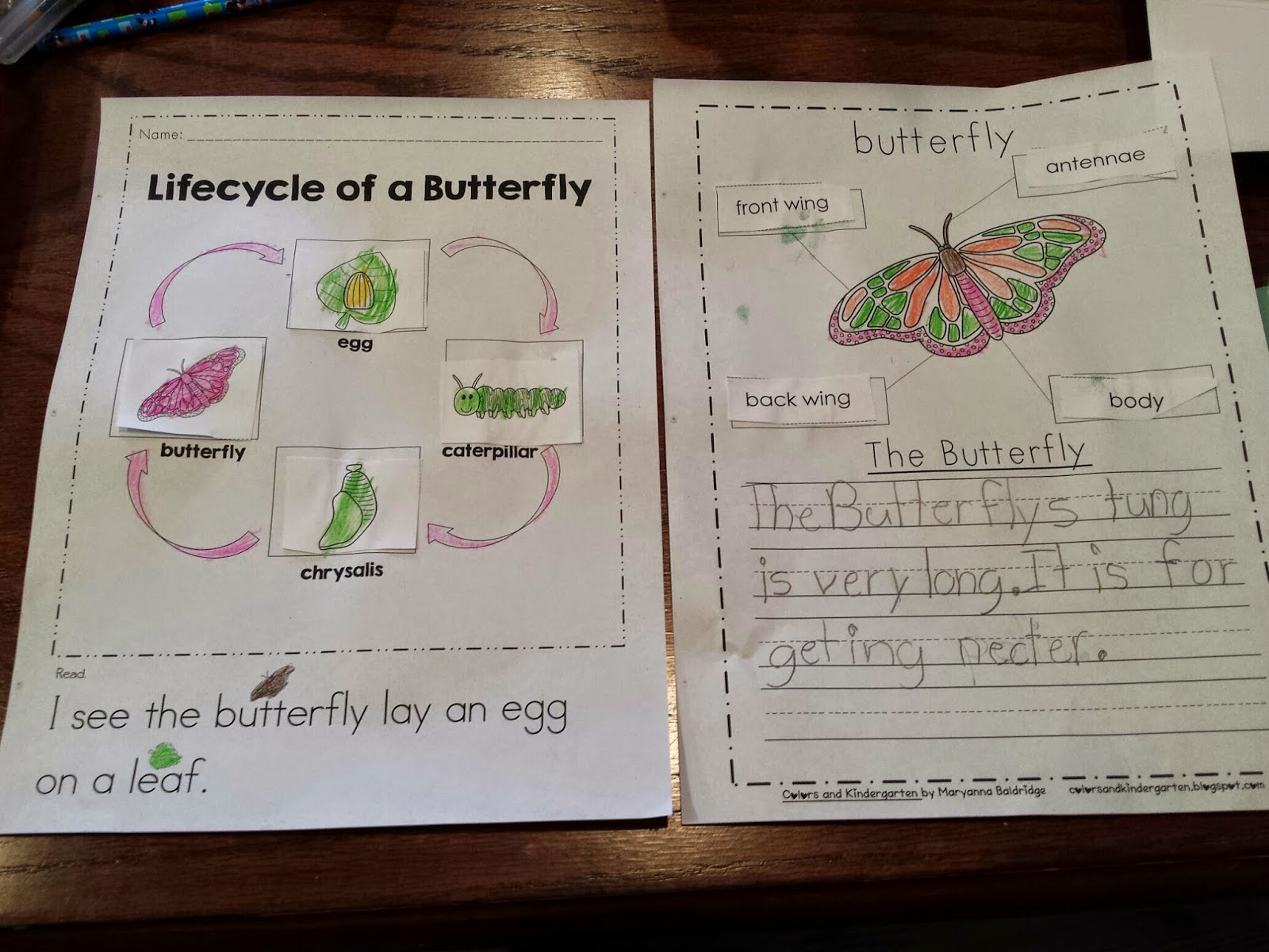 Colors and Kindergarten: My Science Journal: Bugs
