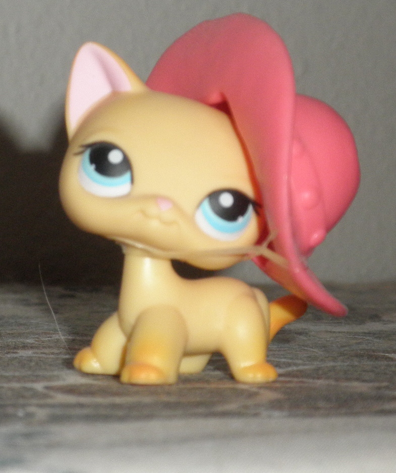 Collectomania: LPS Cats