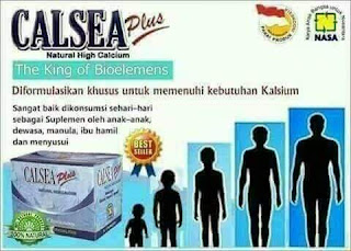 CALSEA PLUS / NASA NCL - Nasa Tanjung