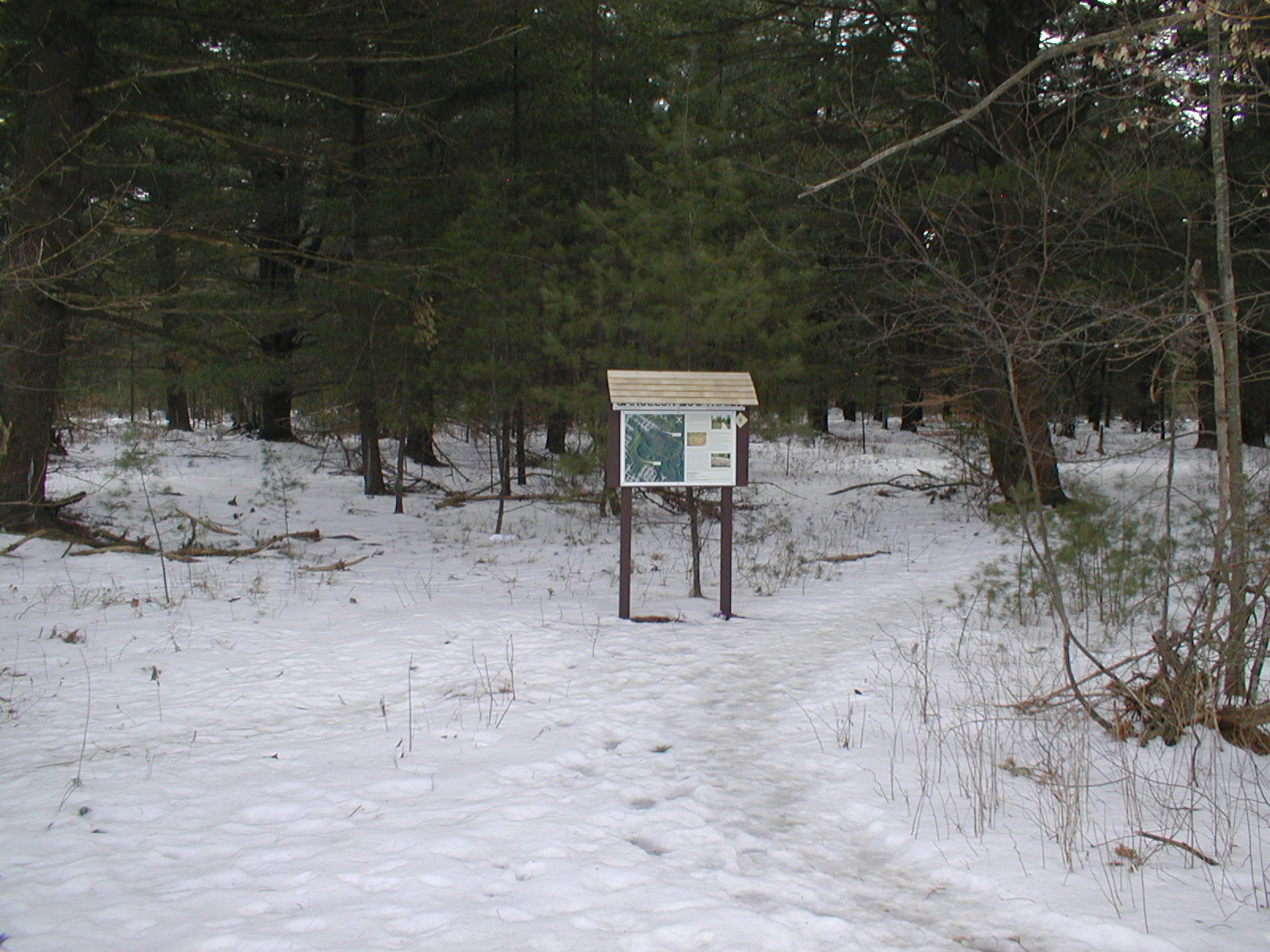 Onestep Outdoors!: Garcelon Bog Conservation Area