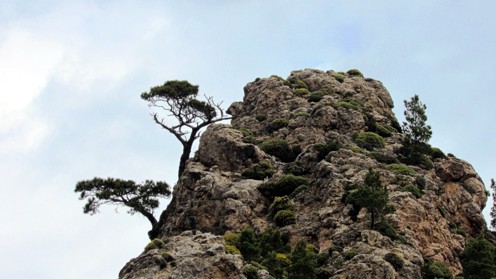ΟΡΕΙΒΑΤΙΚΟΣ ΣΥΛΛΟΓΟΣ ΑΓΙΟΥ ΝΙΚΟΛΑΟΥ: ΠΕΖΟΠΟΡΙΑ ΣΤΟ ΦΑΡΑΓΓΙ ΤΟΥ ΟΡΕΙΝΟΥ