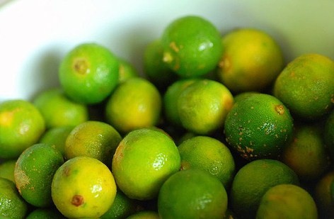 Calamansi or Calamondin (citrofortunella microcarpa)