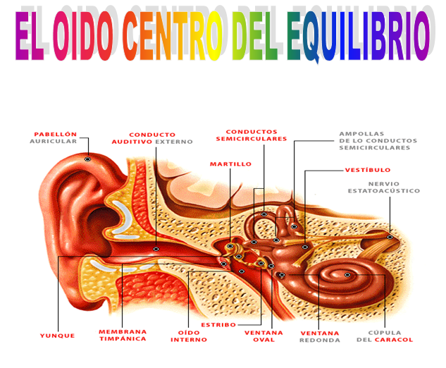Opiniones de sentido del equilibrio
