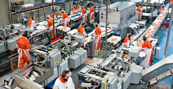 pasos para realizar una empresa: PLANTA DE FABRICACION