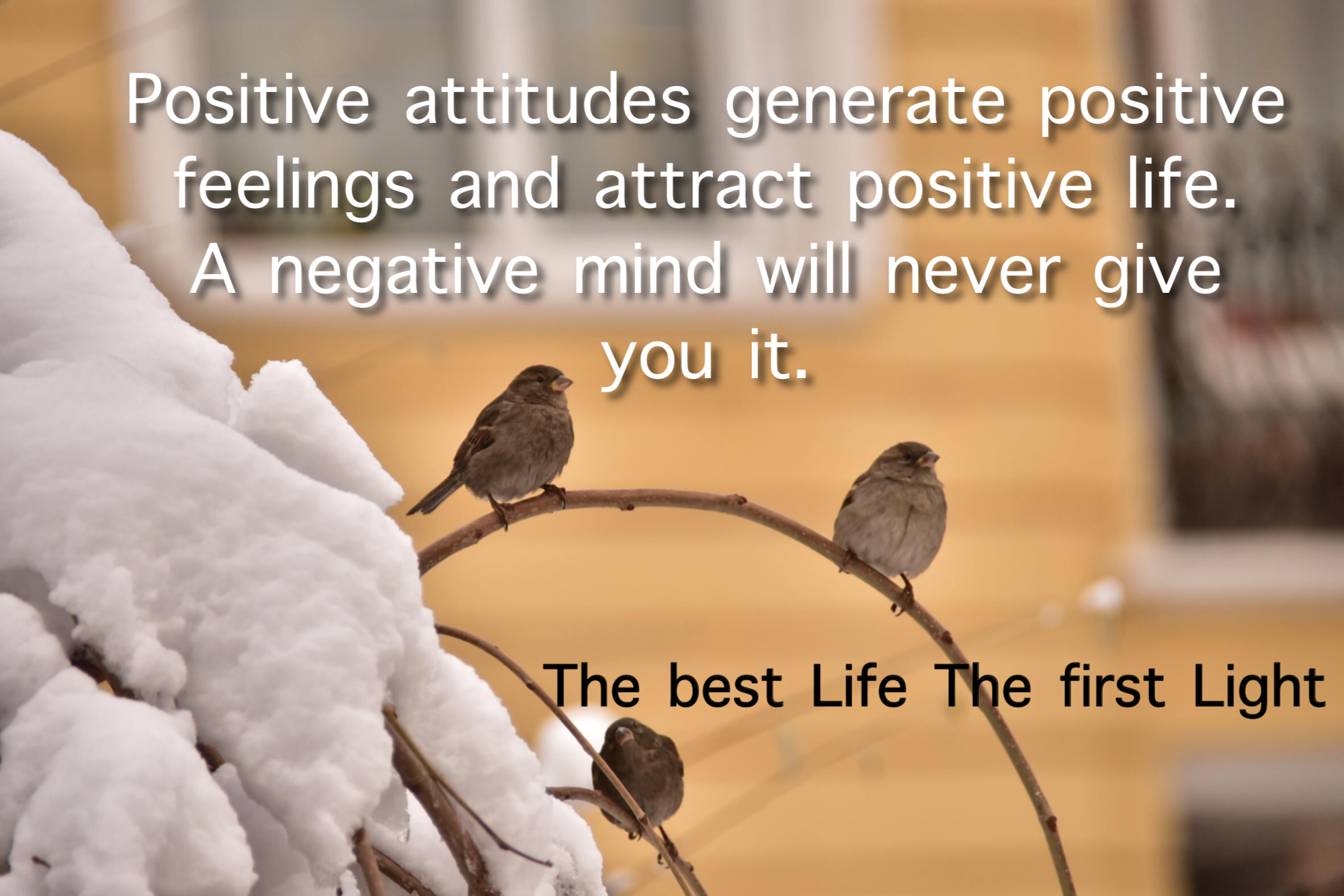 10+ Positive Thinking Status