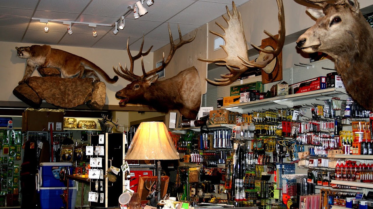 Hunting And Fishing Store Fish Choices hunting-and-fishing-store-fish-choices