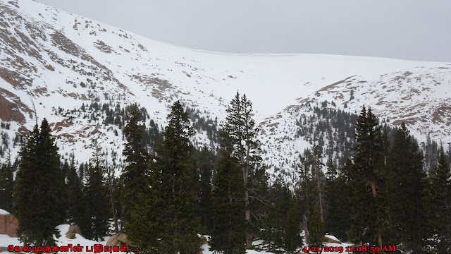 Pike National Forest Colorado - Exploring My Life