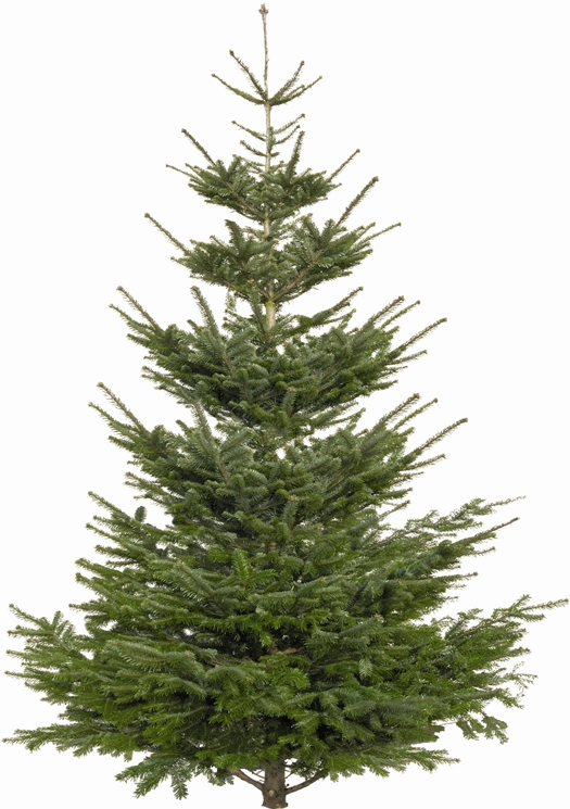 Snipp Snapp Snute: Asbjørnsen og Moe: Askeladden som kappåt med trollet