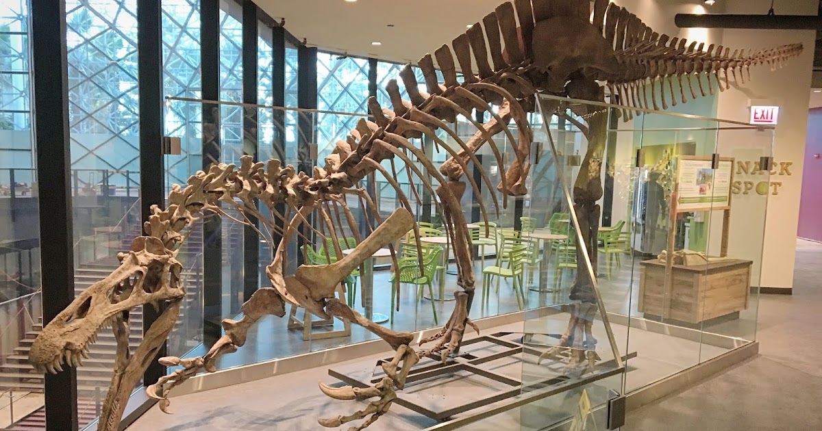 My Prehistoric Saga: Size Calculations for Spinosaurs.