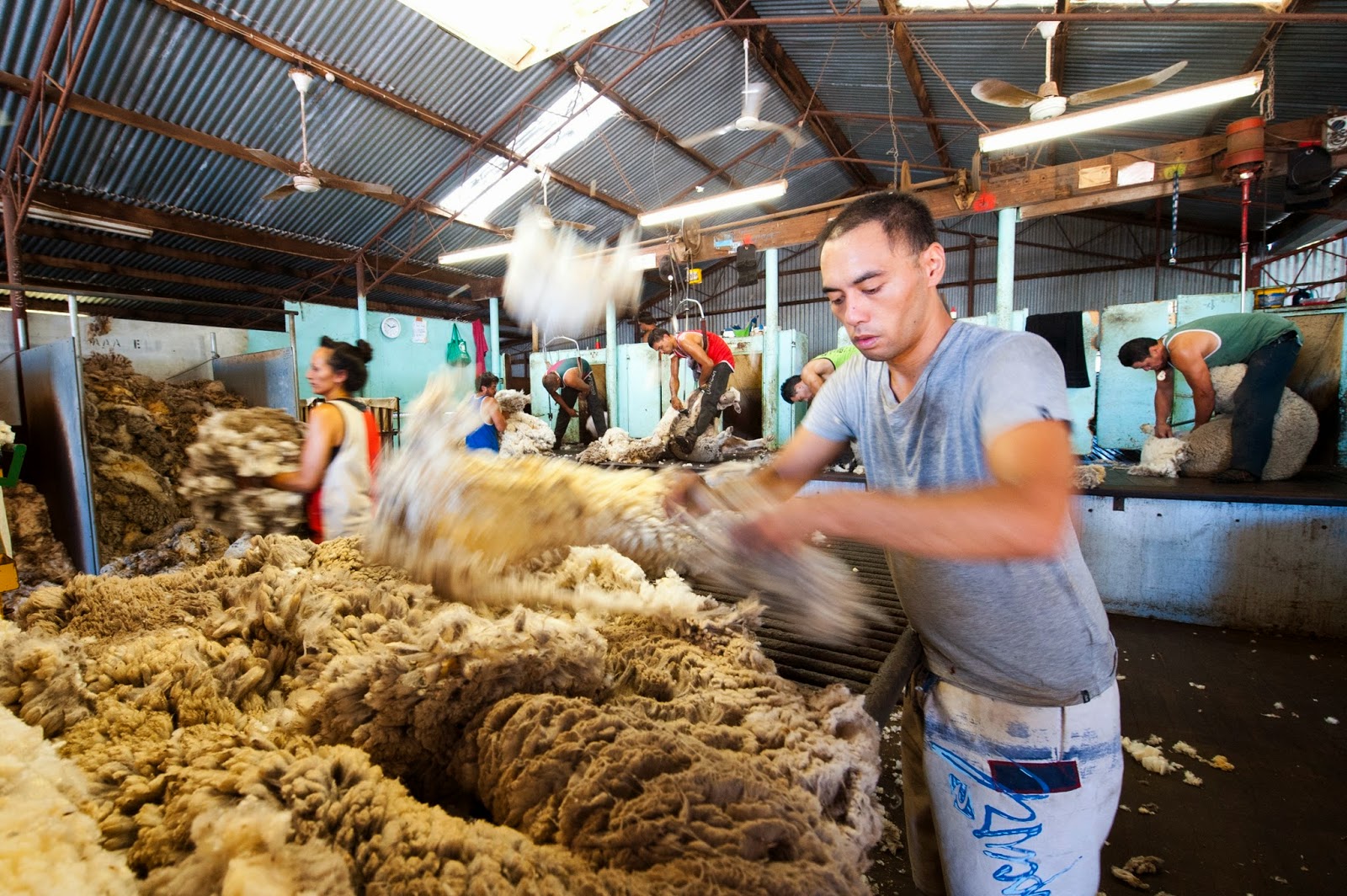 Programa de Textilización - Ciencias Textiles : Capítulo 3 - Las fibras ...