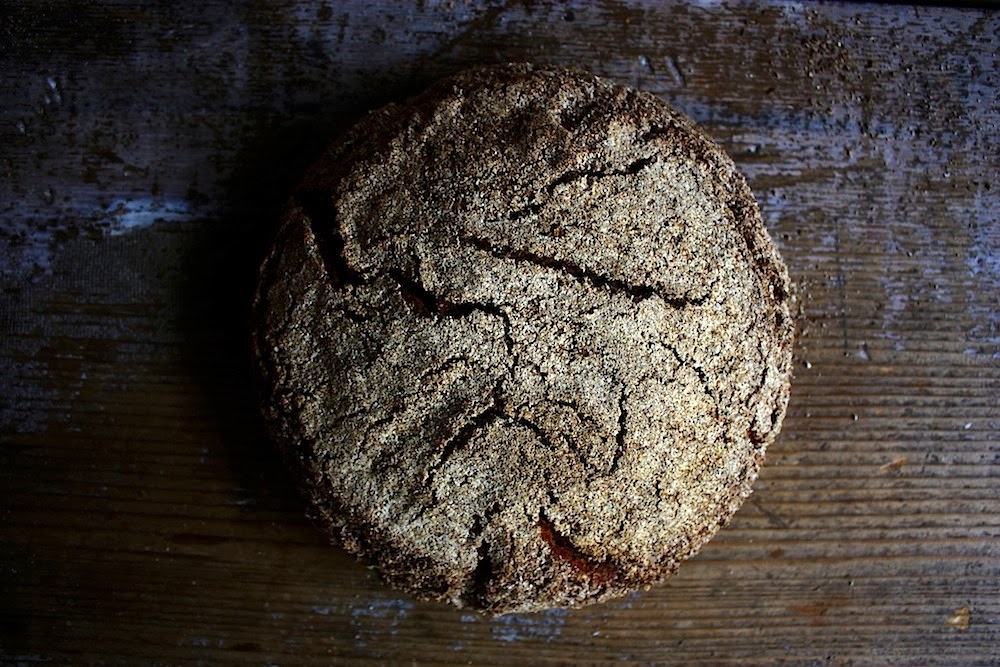 Tartine Bread Experiment: Sidebar Sunday: Happy Accident 100% Sprouted Rye