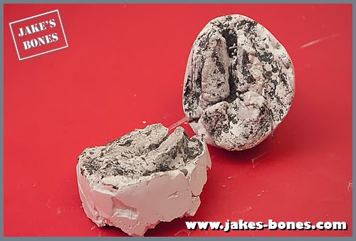 My first attempt at making footprint casts : Jake's Bones