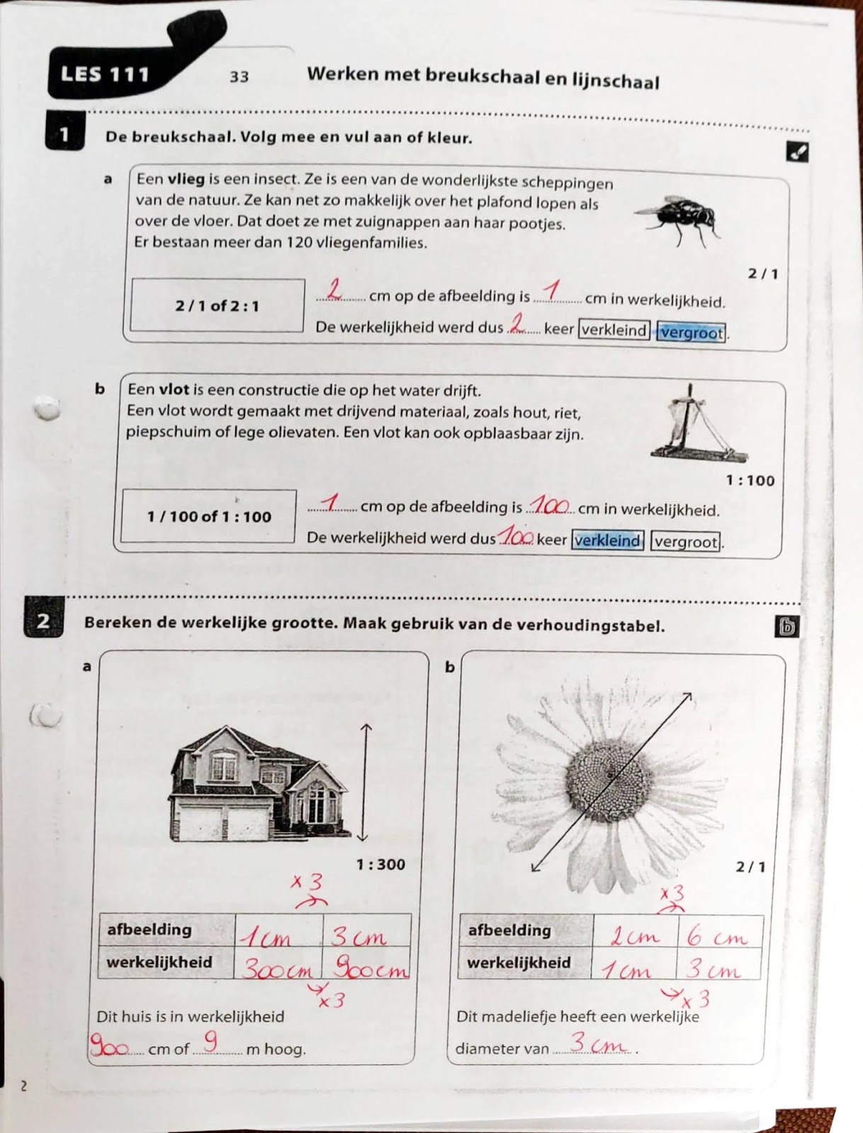Vierde leerjaar: Verbetersleutel oefeningen vrijdag 29/05