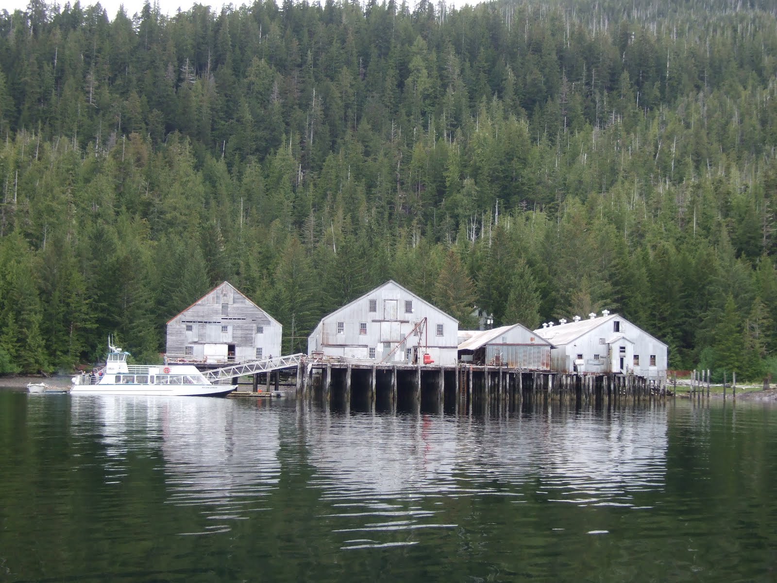 Dispatches from Camp Ketchikan: A Tourist's Eye View of Ketchikan