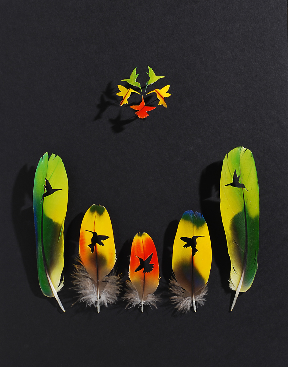 Simply Creative: Feather Art by Chris Maynard