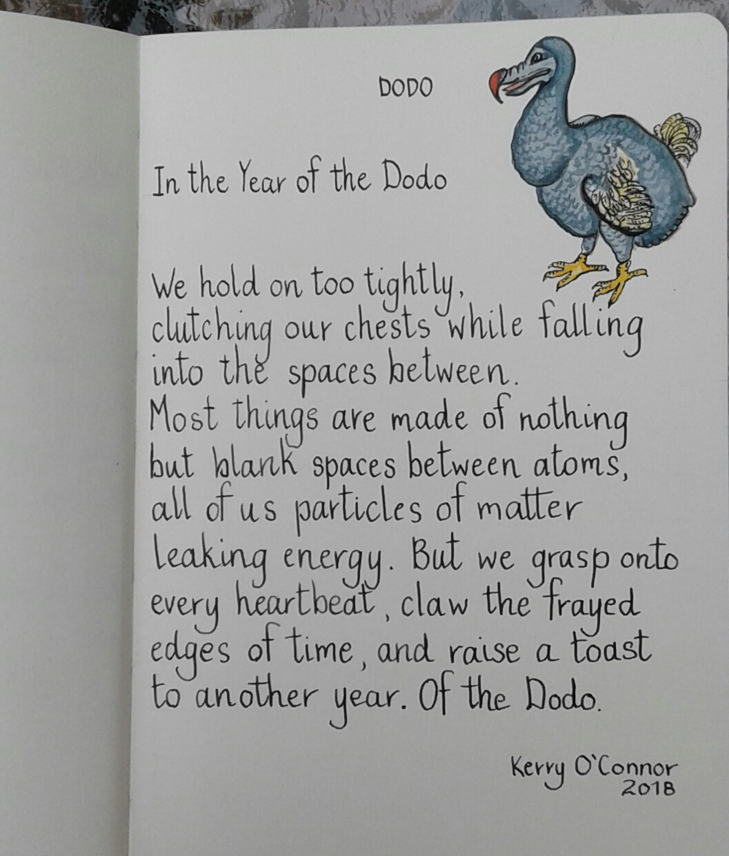 Skywriting: The Year of the Dodo