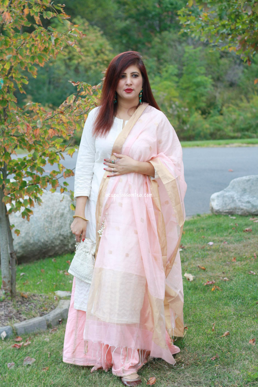 Indian festive look #3