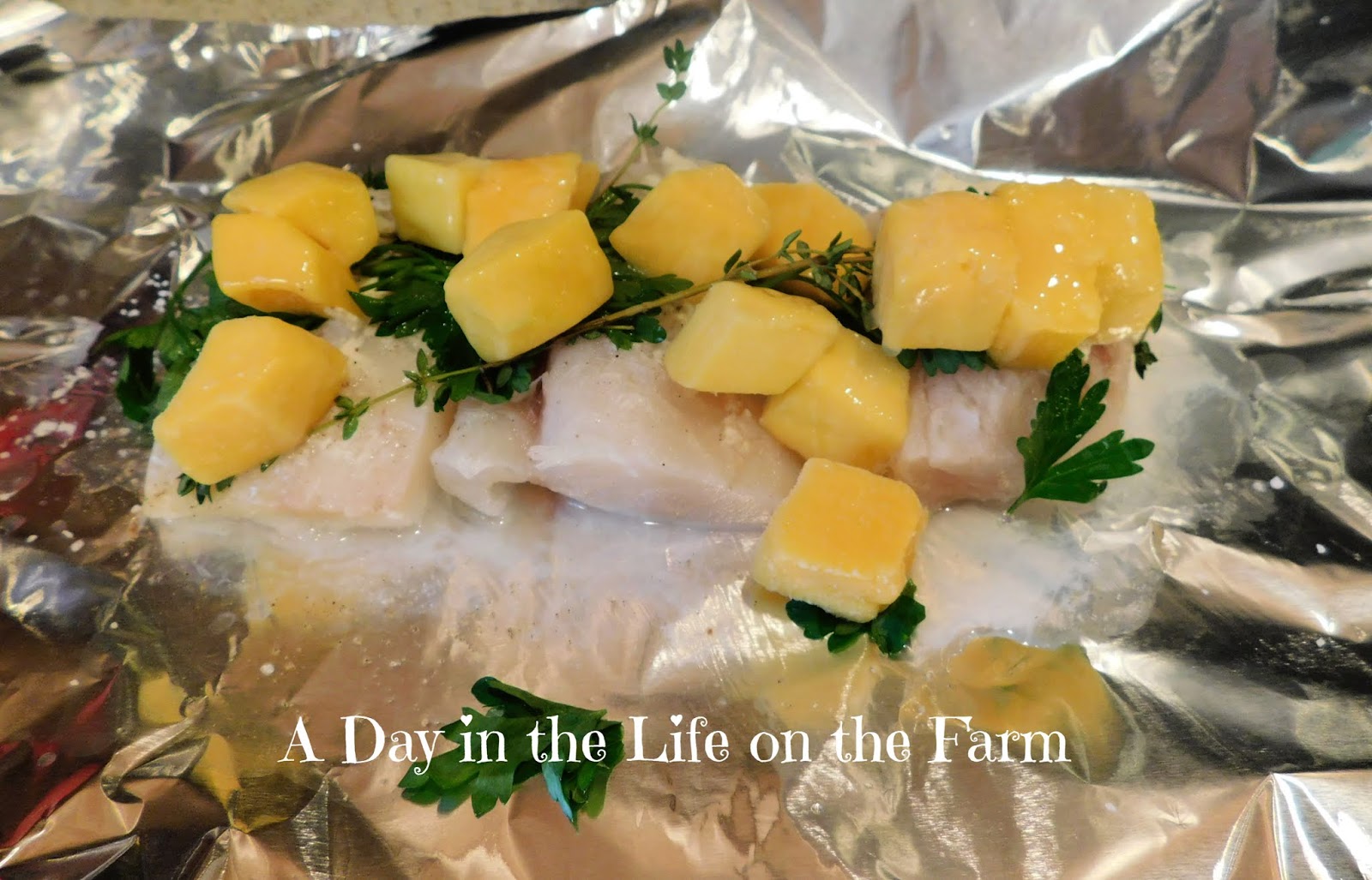 A Day in the Life on the Farm: Foiled Fish with Mango #FishFridayFoodies
