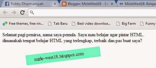 Belajar HTML dan CSS Dasar Bagi Pemula | Mizle West18