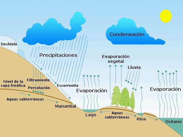 CREACIÓN: CICLOS NATURLES