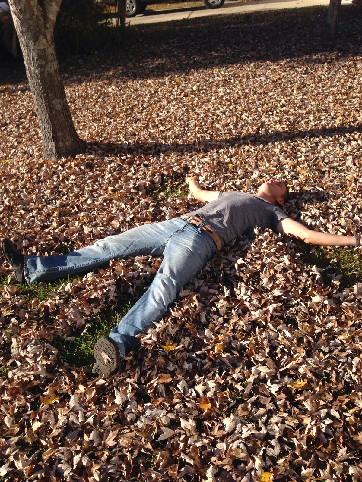 Hous.Love.Dog.Blog.: Is Fall Really Over Already?!