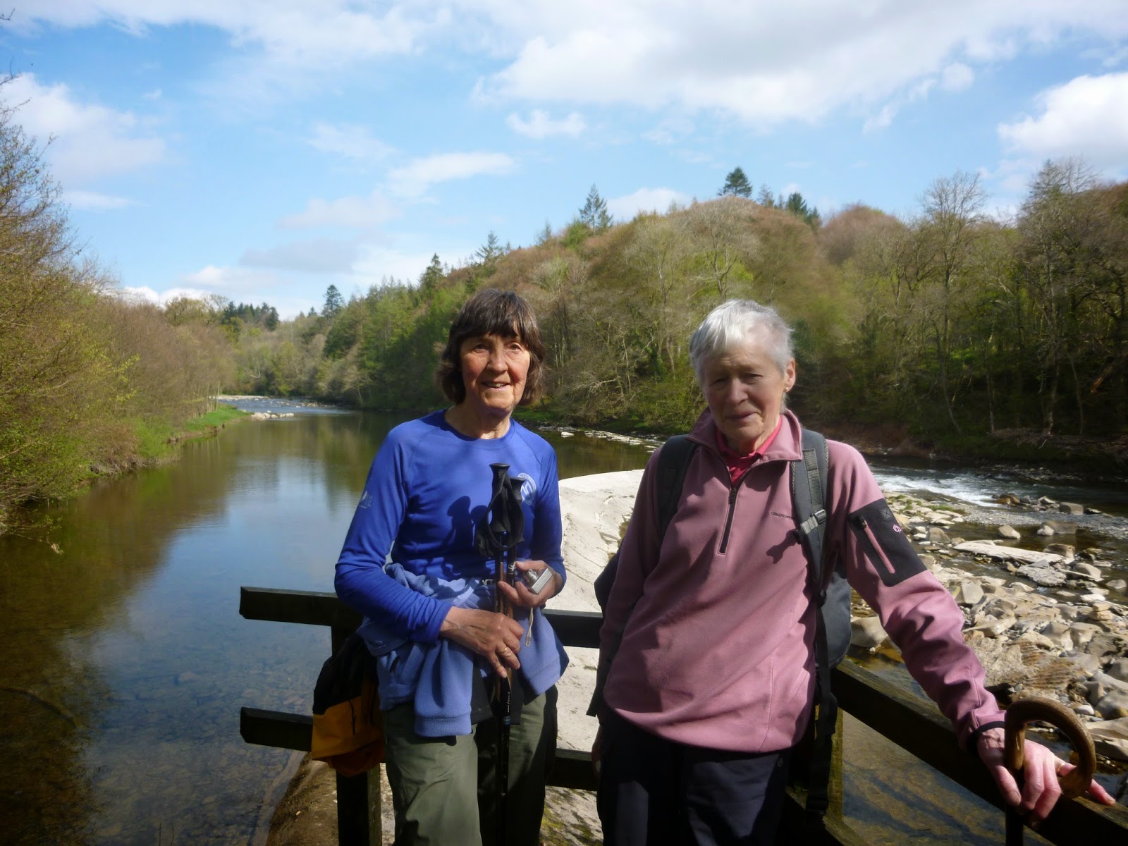 Gavin Graham's Blog: Esk Walk with Mrs. Horsburgh from Selkirk