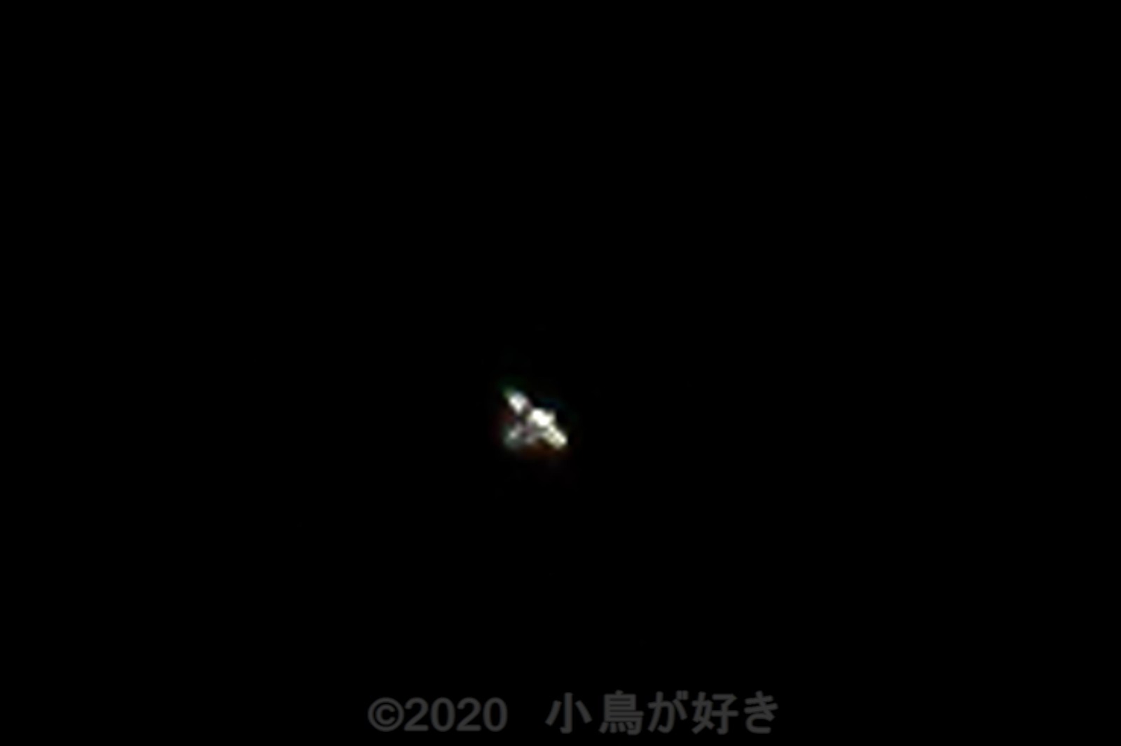 かわいい小鳥: 国際宇宙ステーション（ISS）・カケス