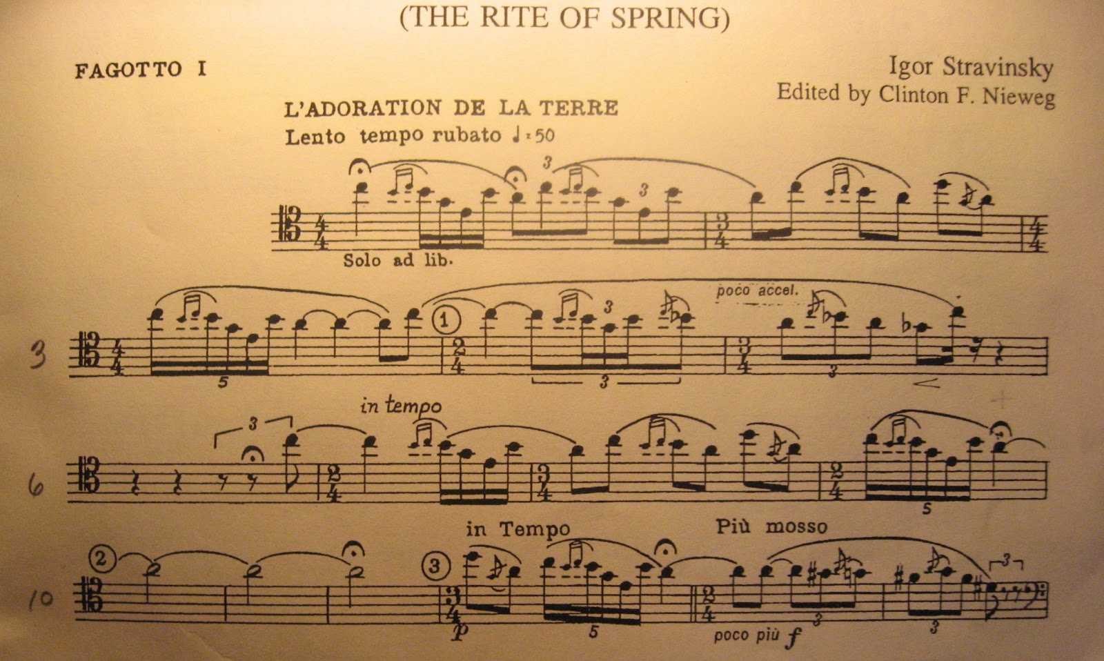 Bassoon Blog: The Rite of Spring