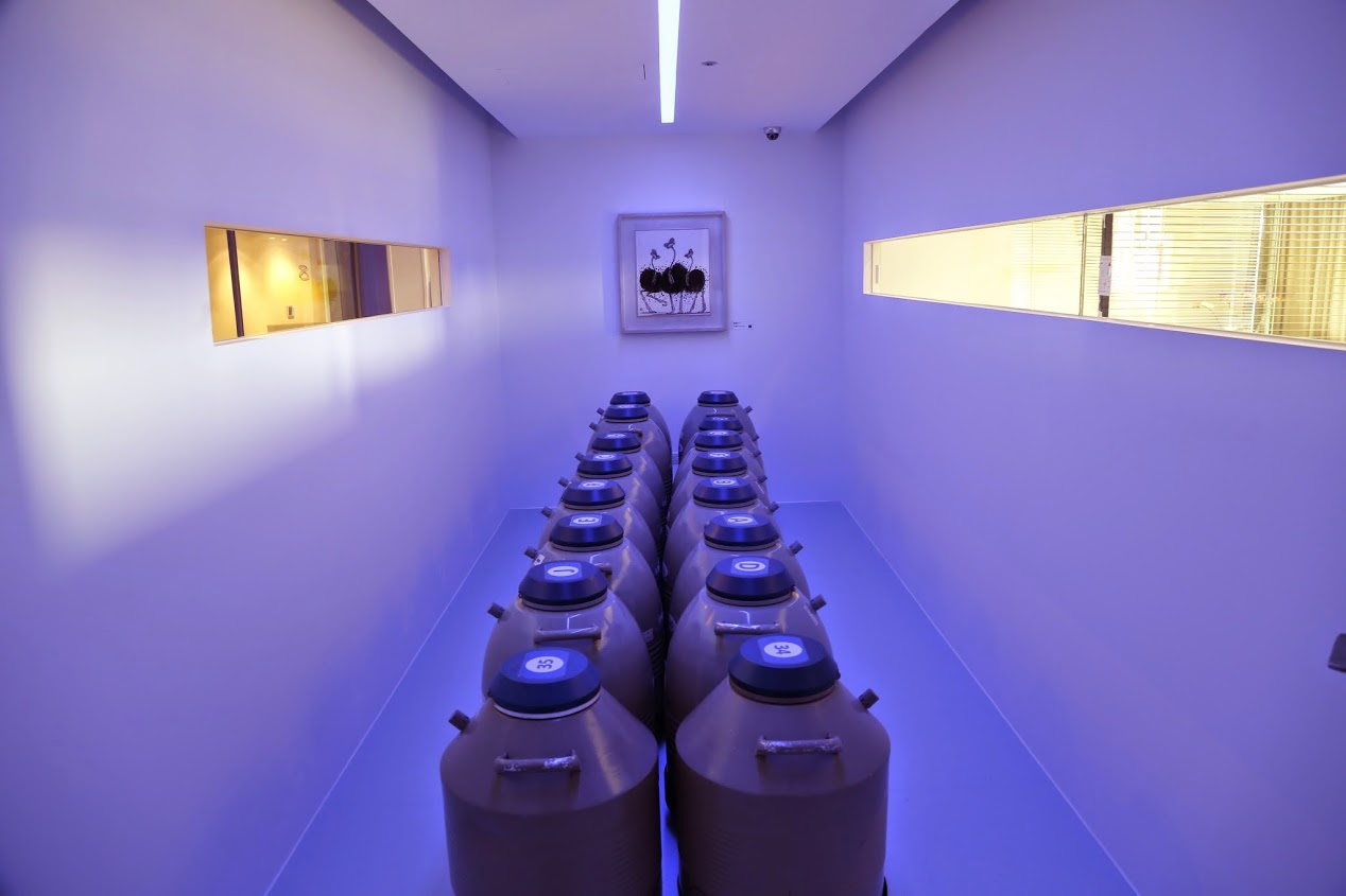 IVF in Stork Fertility Center (IVF in Taiwan) | Stork Fertility Center