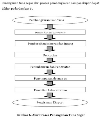 Tahapan Proses Penanganan Ikan Tuna Hingga Ekspor - Inspirasi Indonesia