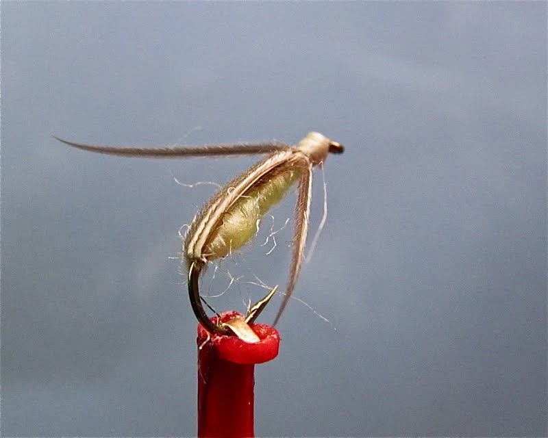 Central Alberta Fly Tying Club: Monday February 6th Phil Nash's ...