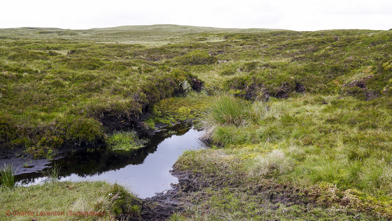 Summitsup: Source of the River Severn