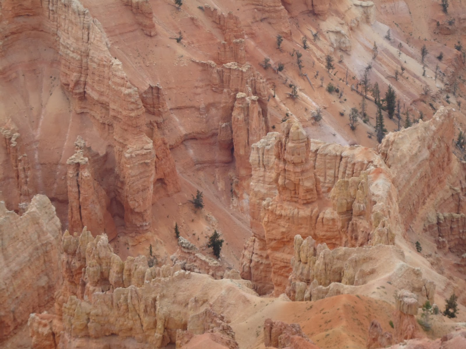 Peg in the Park: Cedar Breaks National Monument