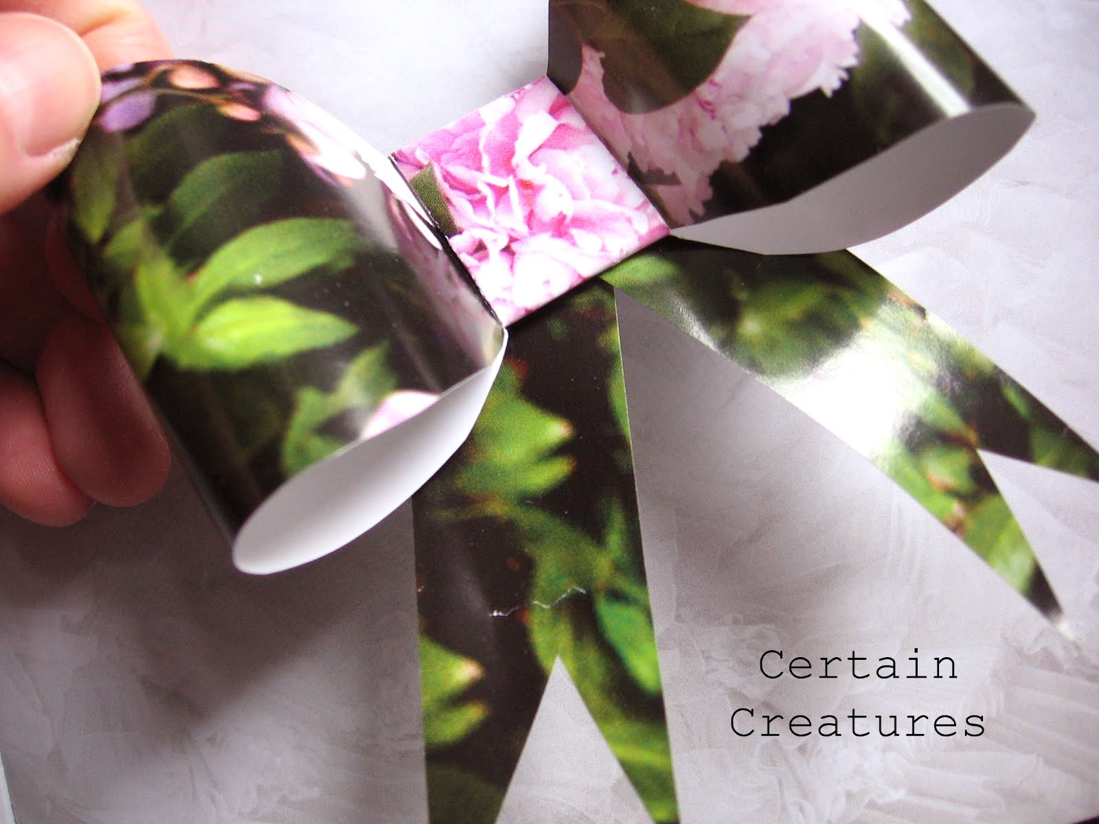 Certain Creatures: Tutorial: Paper Bows