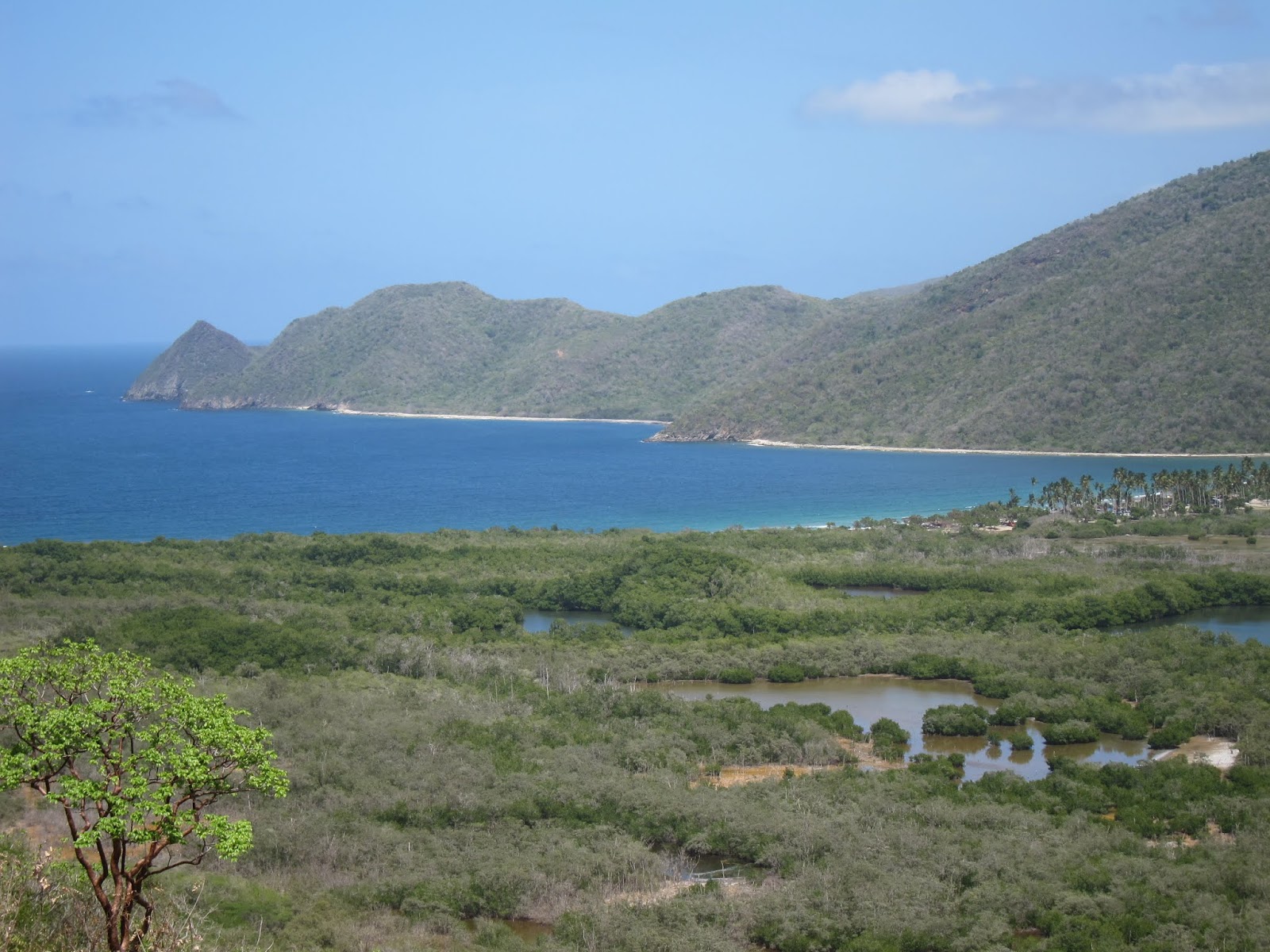Patanemo, la felicidad del Caribe - Viajero de naturaleza