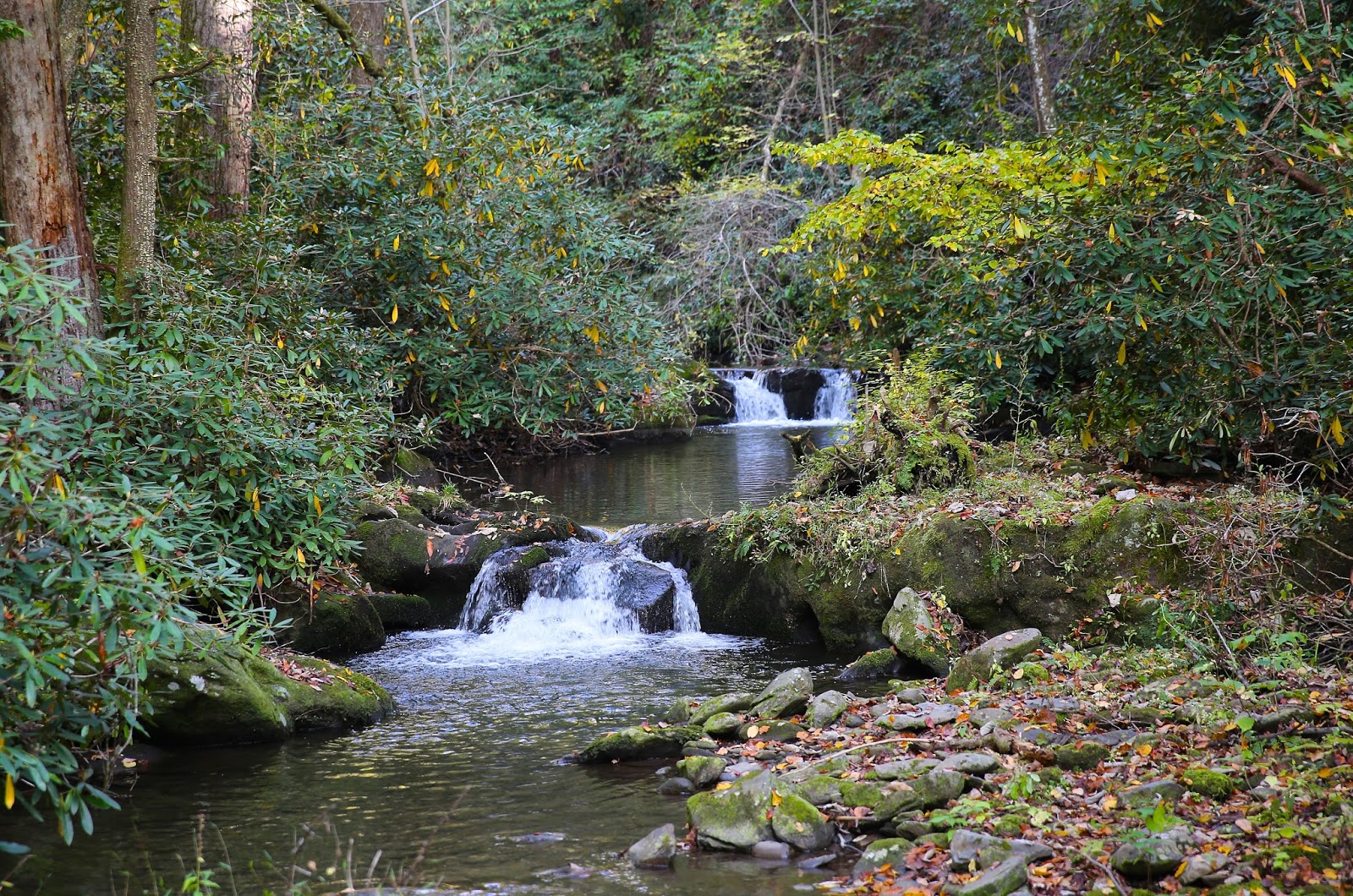 Sweet Southern Days: Parson Branch Road In The Great Smoky Mountains ...