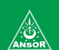 Download Logo Ansor Png dan Penjelasan Arti Lambang Gerakan - Ansor My ID
