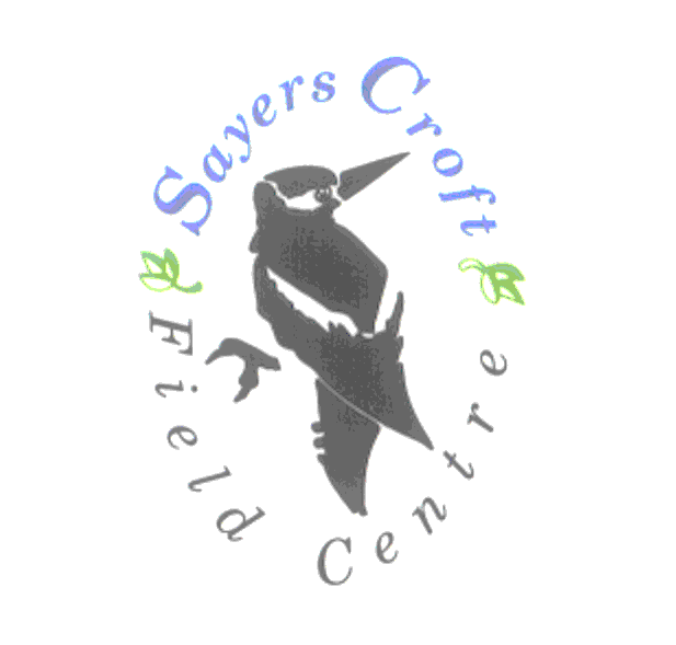 Mijn jeugd: Mijn jeugd in Amsterdam - Technische School Patrimonium