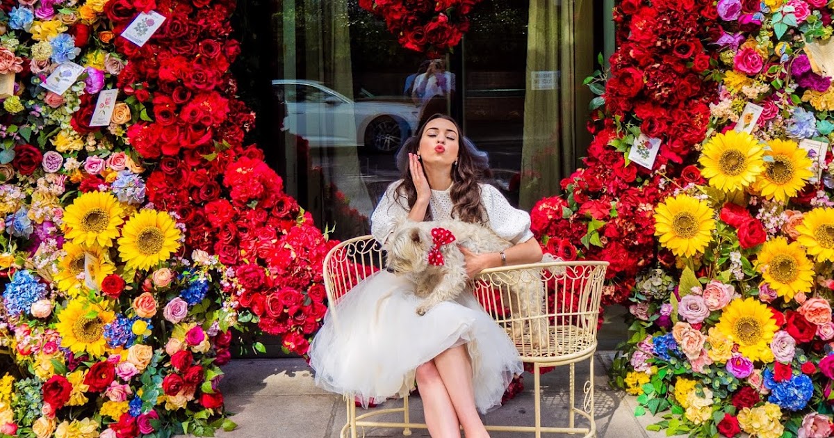 YouTube - I'm Back! — Hello Miss Jordan