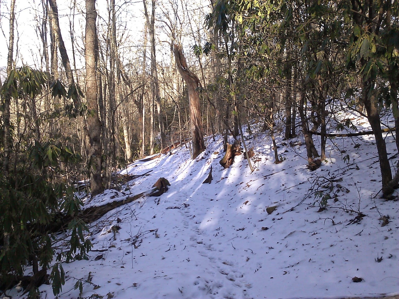 Hikes: Deep Creek - Martins Gap - Sunkota Ridge - Thomas Divide