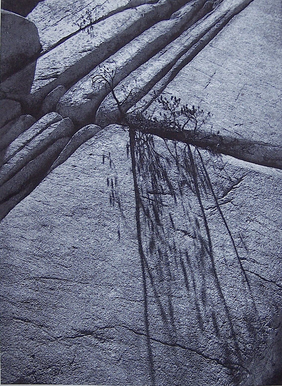 Philip Hyde Photography