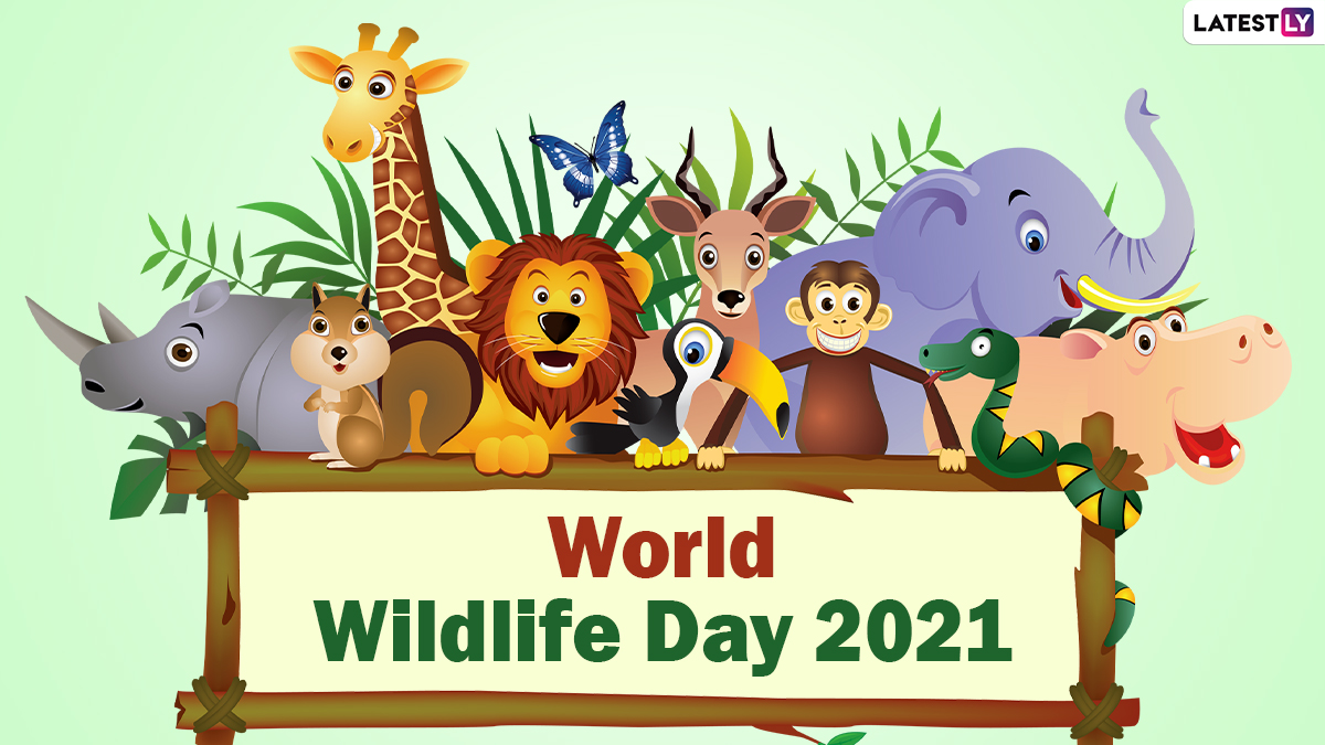 DIVISIONAL LIBRARY (South) BLOG: March 3, Happy World Wildlife Day. We ...