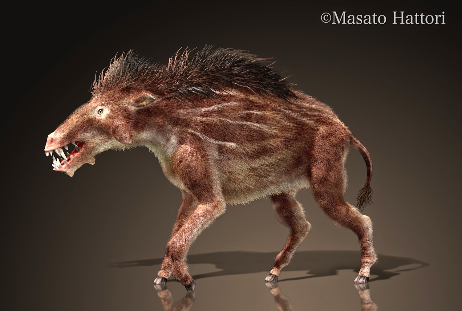 Entelodont | Prehistoric wildlife, Prehistoric animals, Extinct animals