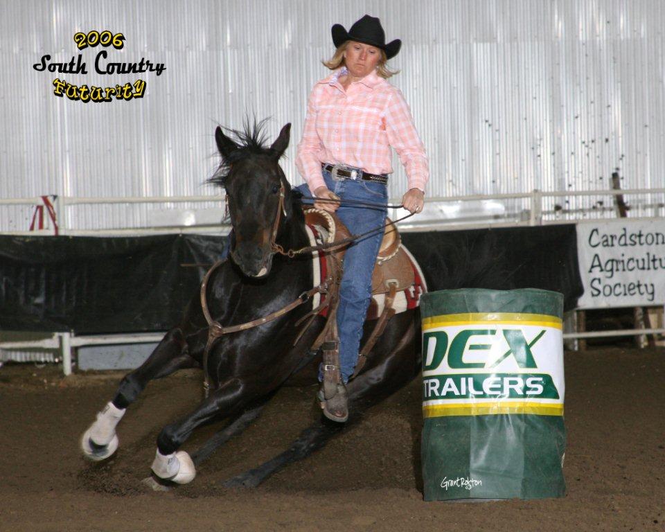 Ian Zoerb: (Guest Post-Lynette Brodoway)