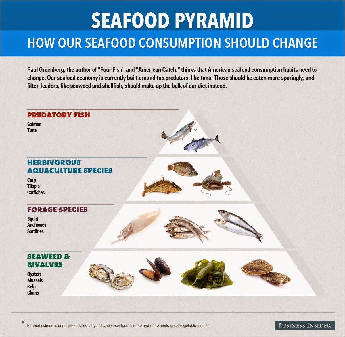 rainbowdiary: Seafood Pyramid