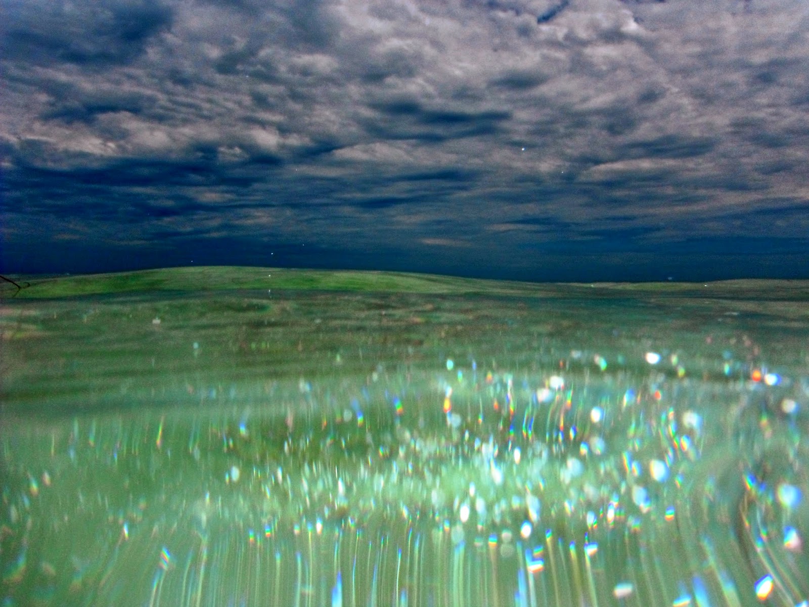 From Here to There: Favorite Places: Looe Key